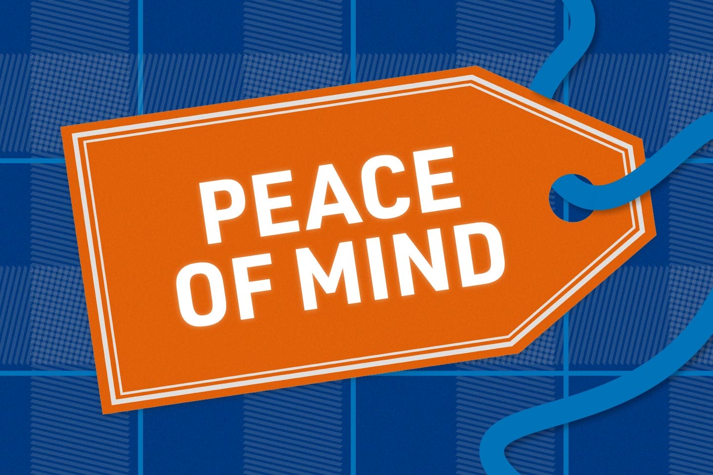 Unwrap the Gift of Peace of Mind with FlexXray - FlexXray®